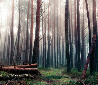 Alexandre GODET on Medium curated some lists