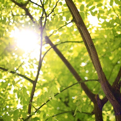 How to Use Default Parameters in Java Methods | by omgzui | Javarevisited | Medium