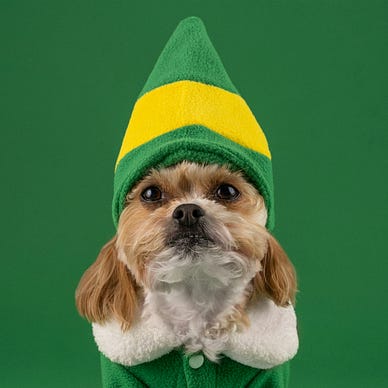 Everything You Need to Know About Medium’s Private Messages | by CarolF | All About Something ...