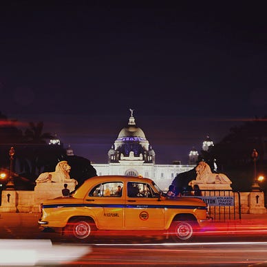 An Encounter with The White Tiger | by Adele Arbi | Curious Compass | Aug, 2024 | Medium