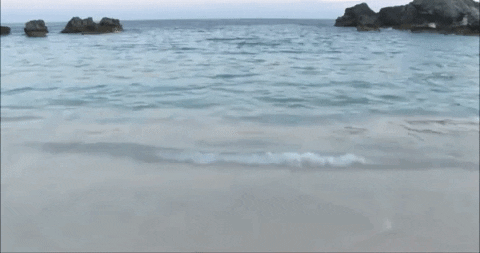 Summer on the Beach A Sensual Symphony- Kaz Rochford | Medium