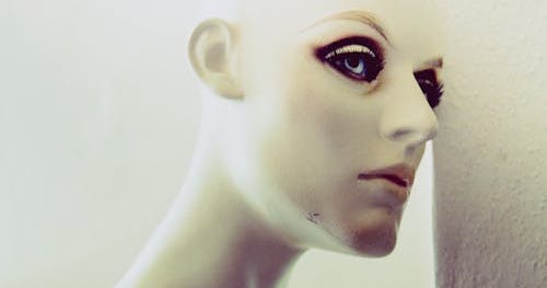 Transgender Body Parts | Prism & Pen