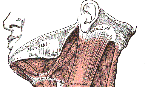 On Helplessness. A view from the bottom of the medical… | by Trey ...
