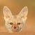 Mastering FastAPI and Pydantic: An In-Depth Guide for Beginners | by Pranjal Raj | Sep, 2025 ...