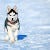 Python Tuples: An In-Depth Guide with Real-World Examples | by ...