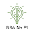 Brainy Pi: A Jetson Nano Alternative to Run AI Applications at lower cost | by Nikhil Bhaskaran ...