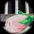Why That Color? Prison Artists' Color Palette | by Darealprisonart | Medium