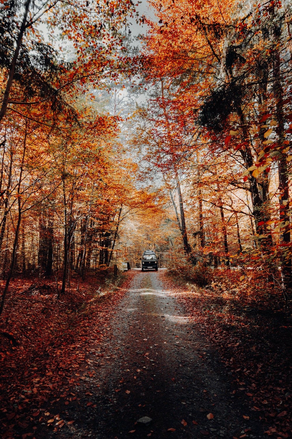 How early is too early for Fall?. Tomorrow is Friday, September 1st. In ...