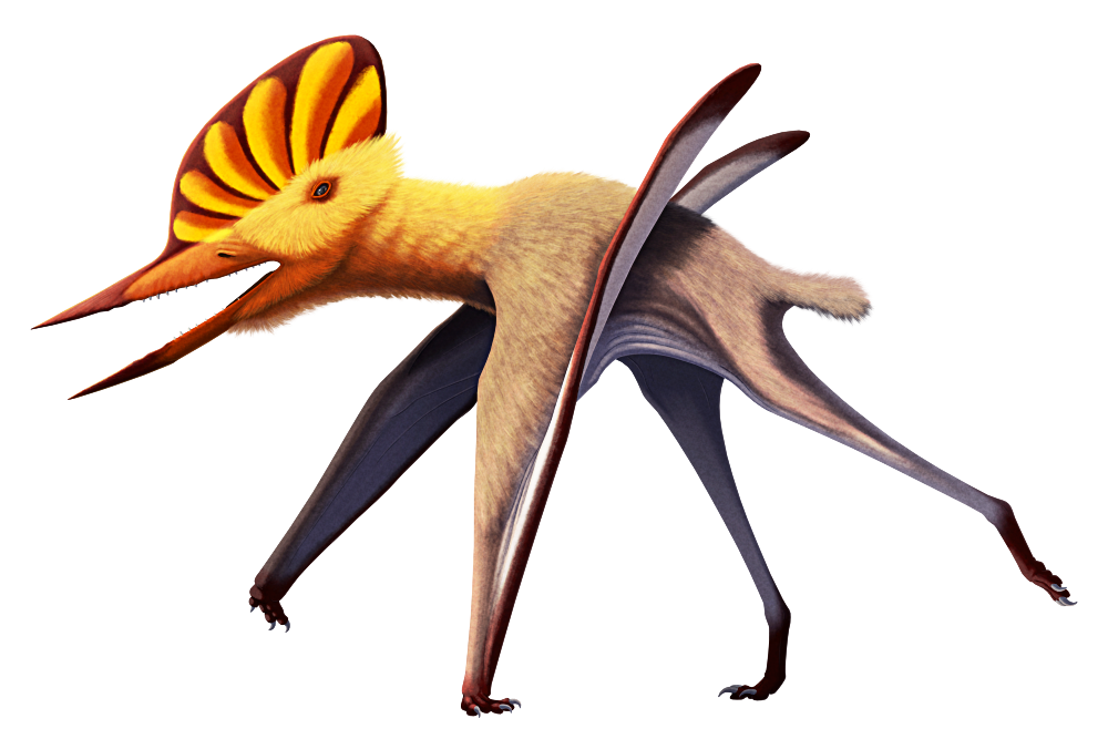 The most terrestrial pterosaurs. Noripterus complicidens by Ceri Thomas ...