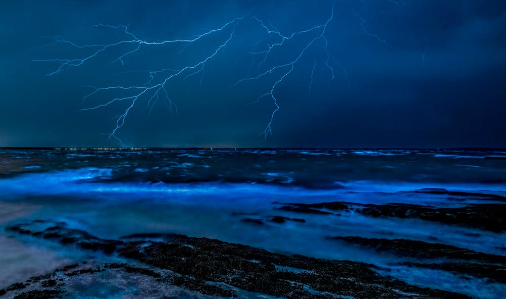 Best Writing Lessons From Rick Riordan and His Books | by Saanvi Thapar ...