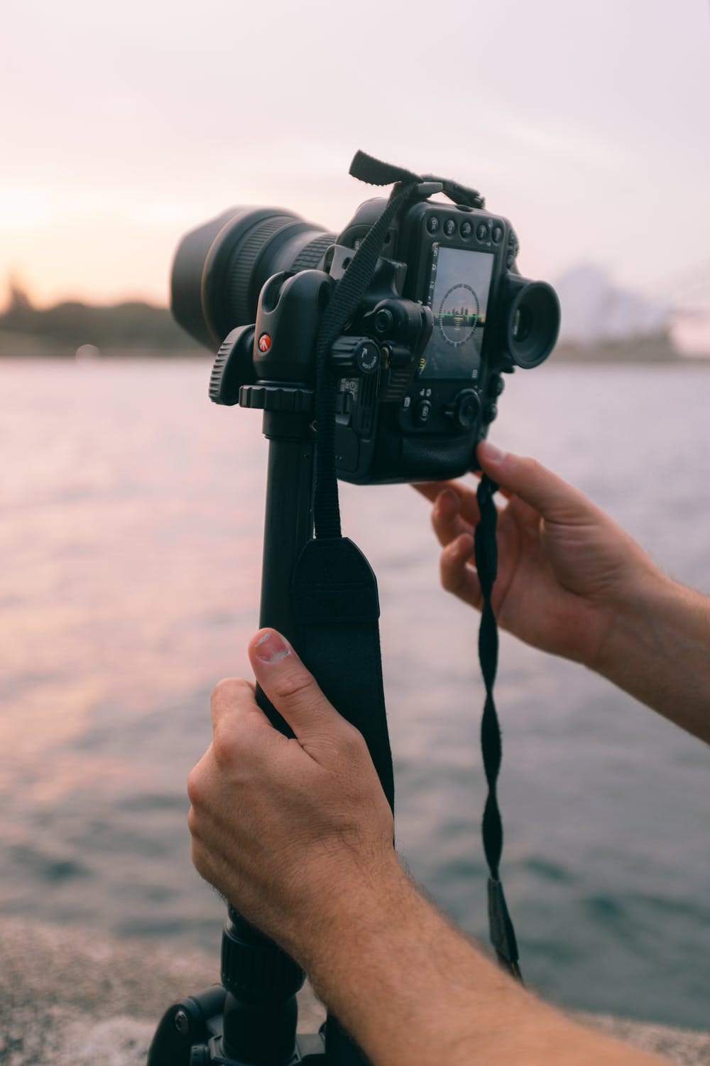 Are you cut out to become a nature photographer? | by Alan Bohms | Medium