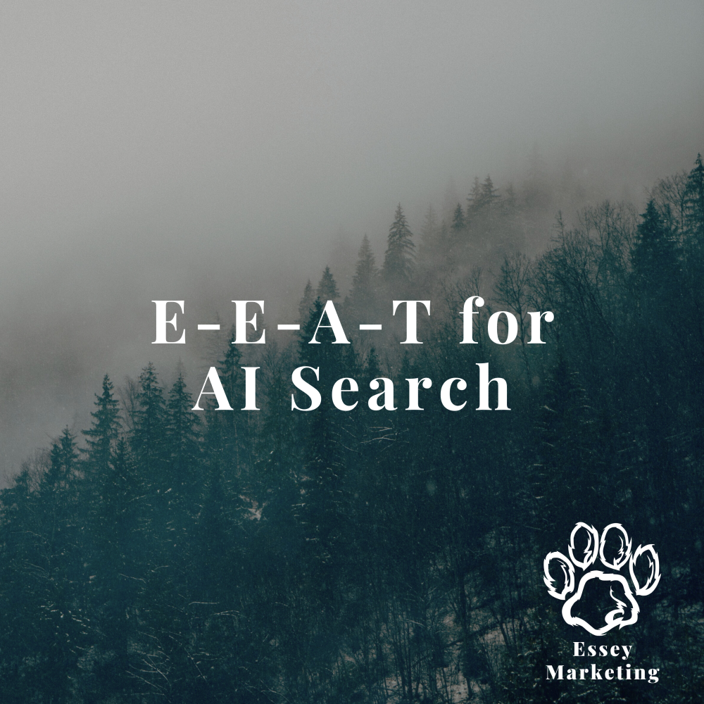 E-E-A-T for AI Search. Imagine you’re searching Google for… | by Chris ...