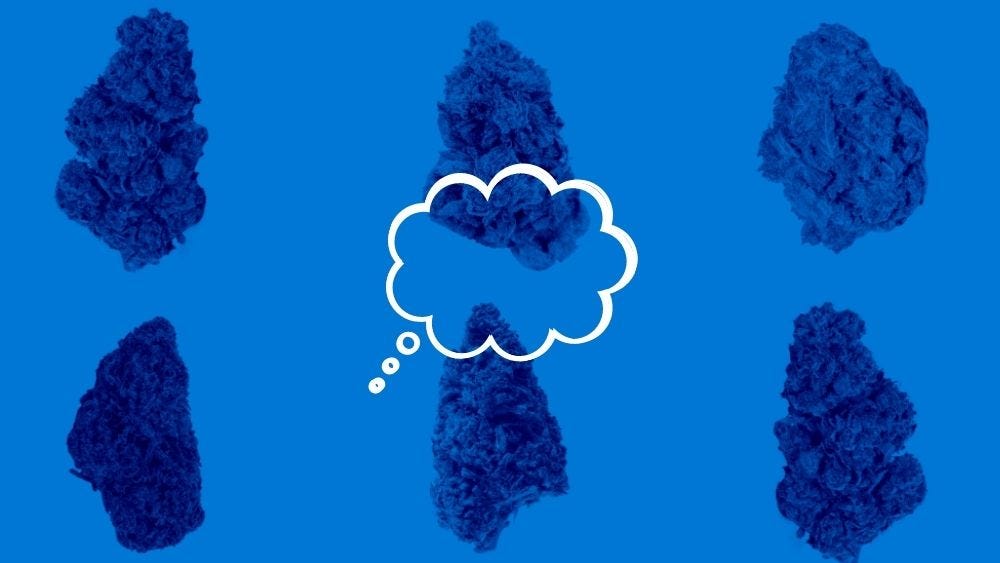 Best Strains of Weed: Blue Dream. Blue Dream is a sativa-dominant ...