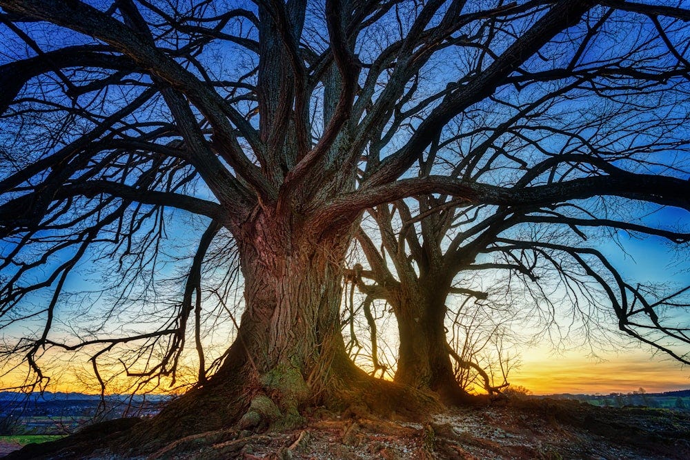 How PKCE Works Part 2. How PKCE works in Identity Server when… | by ...
