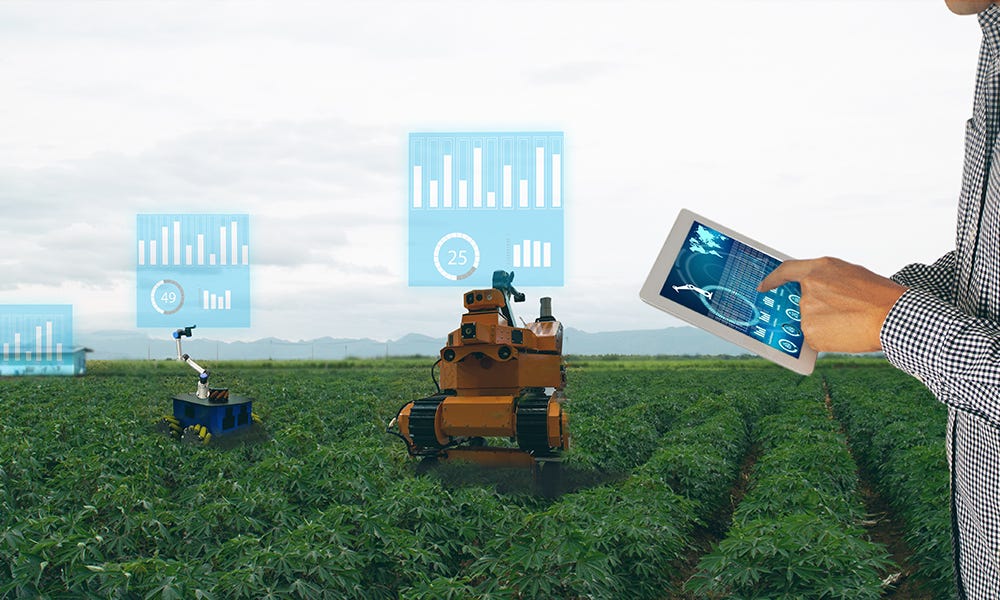 Hardware Implementation Scheme Of Intelligent Weeding Robot Based On 4030
