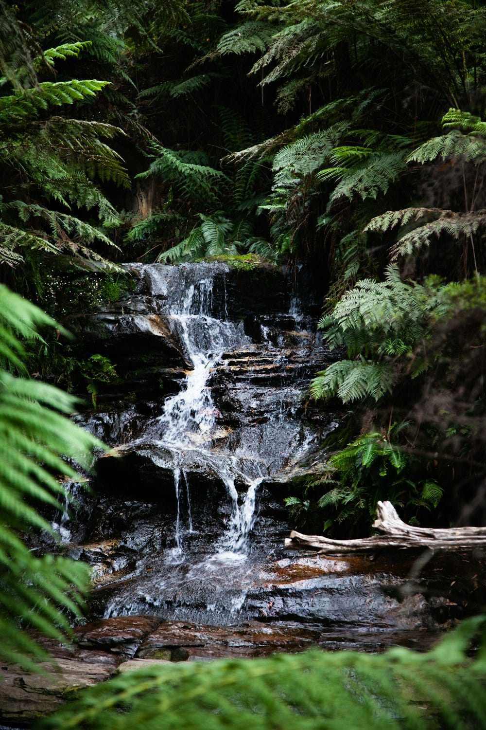 JPA/Hibernate Cascade Types. Cascading relationships are designed to ... JPA/Hibernate Cascade Types. Cascading relationships are designed to ...