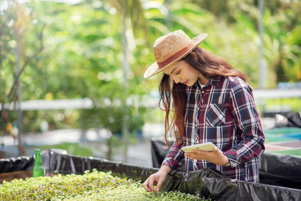 7+ Hydroponic Planting Media that For Fertile Fast | by Romi Saputra ...