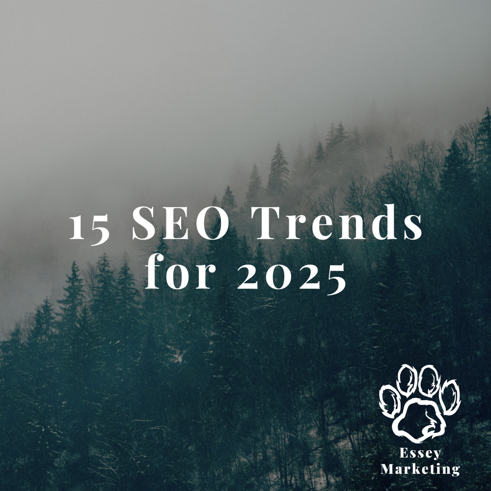 15 SEO Trends for 2025. Discover the top SEO trends for 2025… | by ...