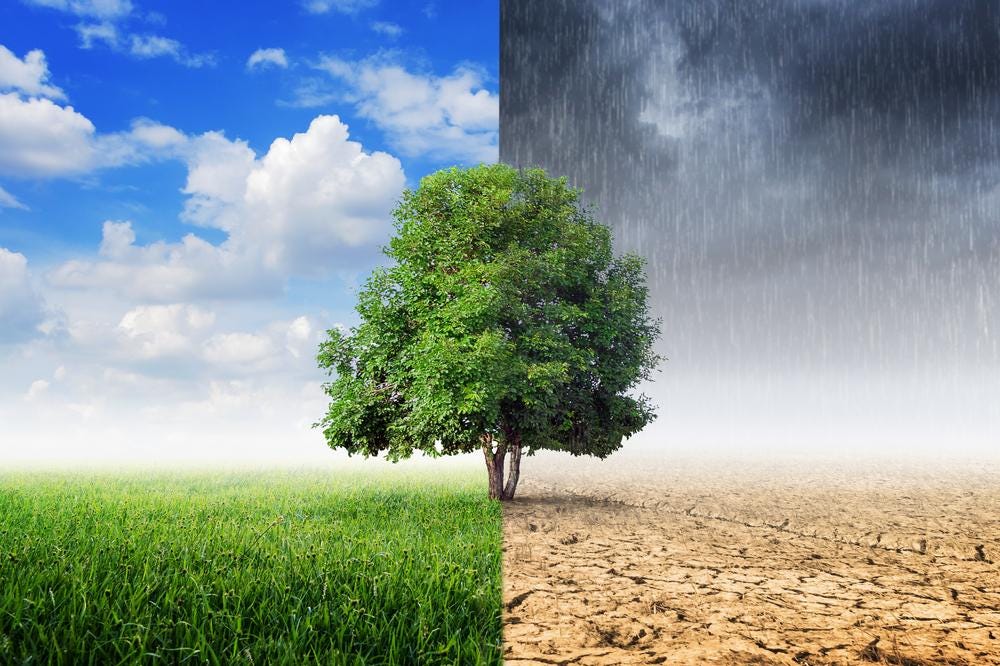 Climate Change and Its Effects: Can We Undo it? | by Mind the Graph ...