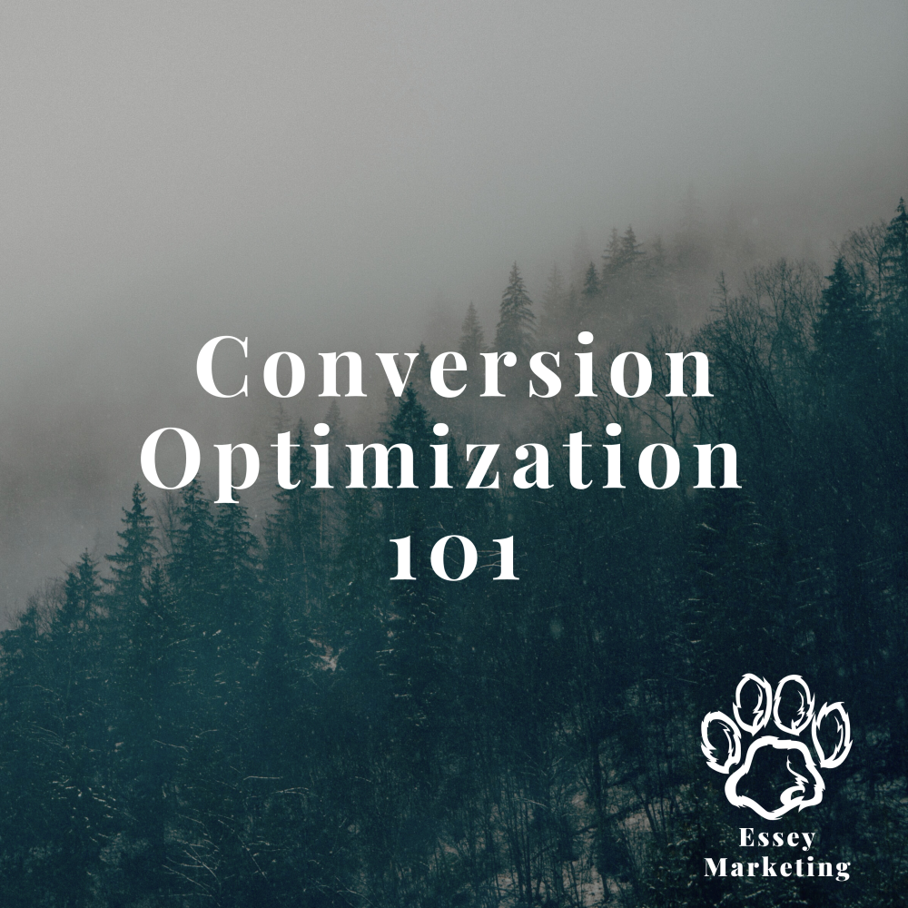 Conversion Optimization 101. In this 101-level guide, we’ll dive… | by Chris Essey | Sep, 2024 ...