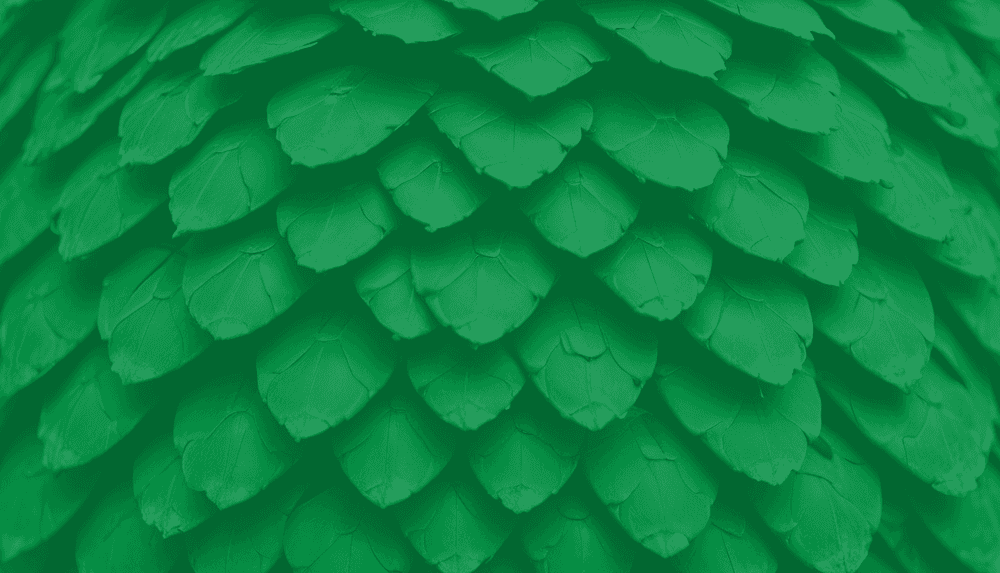 Operationalizing Pinecone: A Vector Database | by Leapfrog Technology | Leapfrog