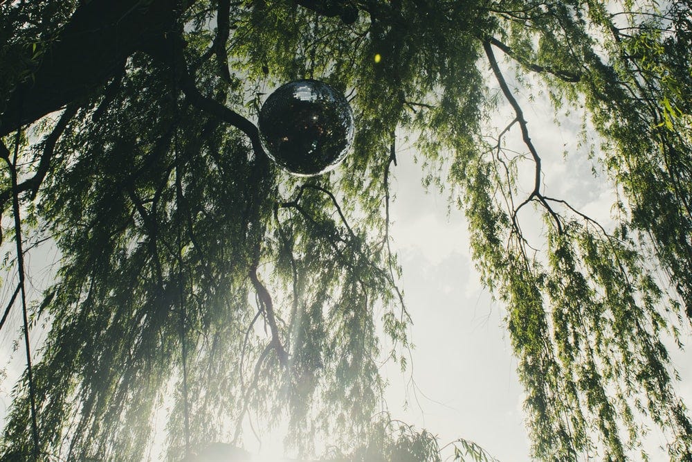 Willow. As you lay in your silent slumber, and… | by Scott Leonardi ...