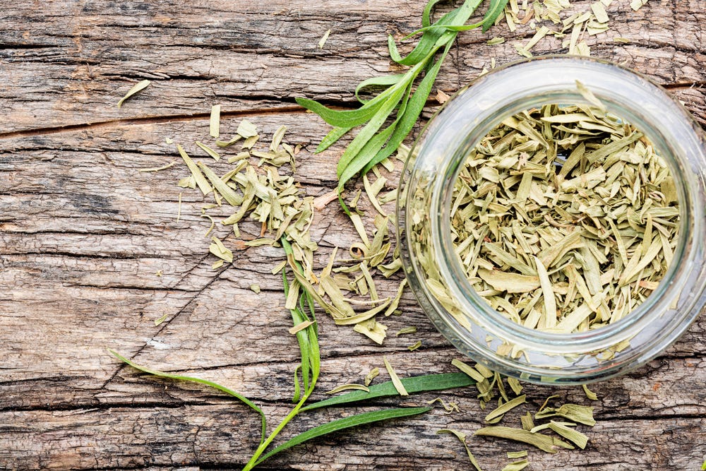 An Herb Gift for Chiron - The Daily Cuppa - Medium