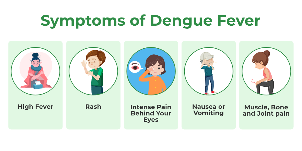 Surviving Dengue: A Comprehensive Guide to Prevention and Treatment ...