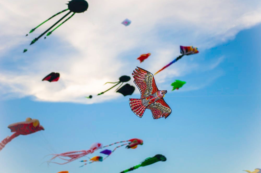 What is success in life — explained by a kite | by Meghan Kachhi | Medium