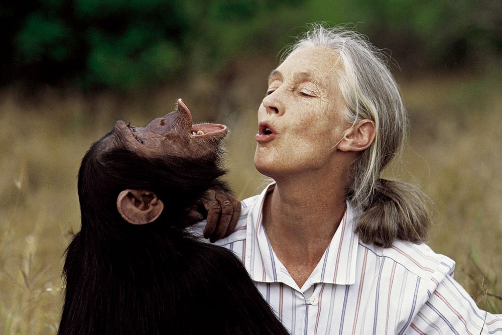 Jane Goodall found life’s purpose. | by Abbergeron | Feb, 2026 | Medium