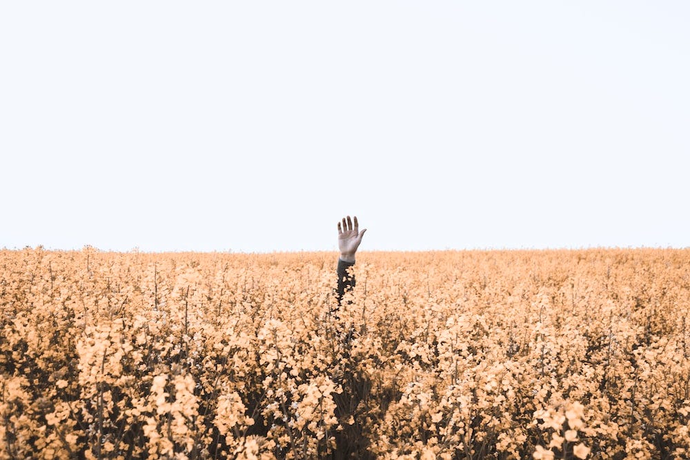 Go Tricky: A Bug with For-Range Loops and Pointer | by Phuong Le (@func25) | Level Up Coding