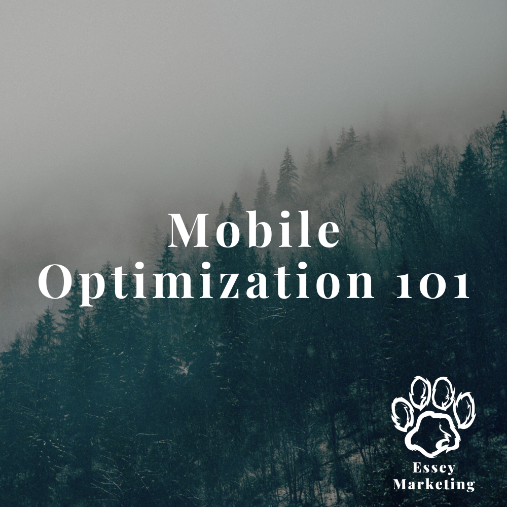 Mobile Optimization 101. In today’s fast-paced digital… | by Chris Essey | Medium