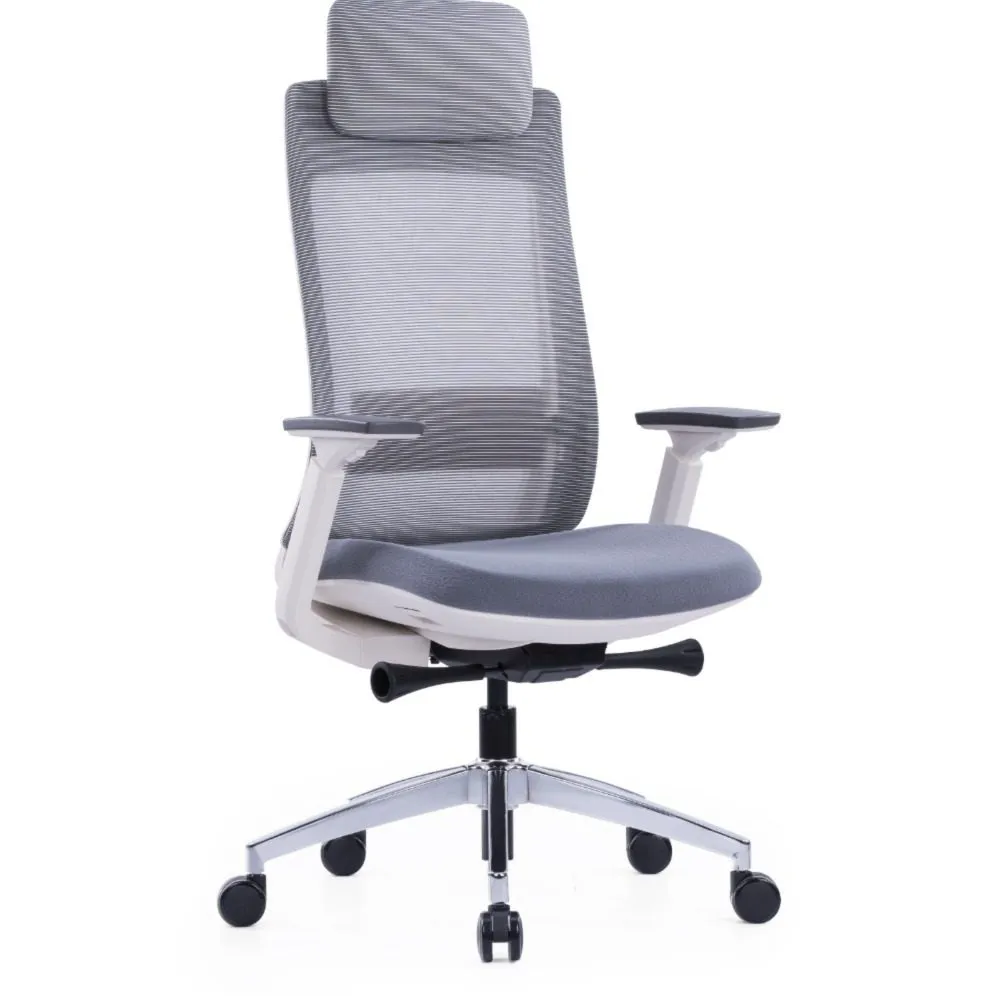 Elevate Your Office with Premium Furniture: Buy Mesh Back Chairs ...