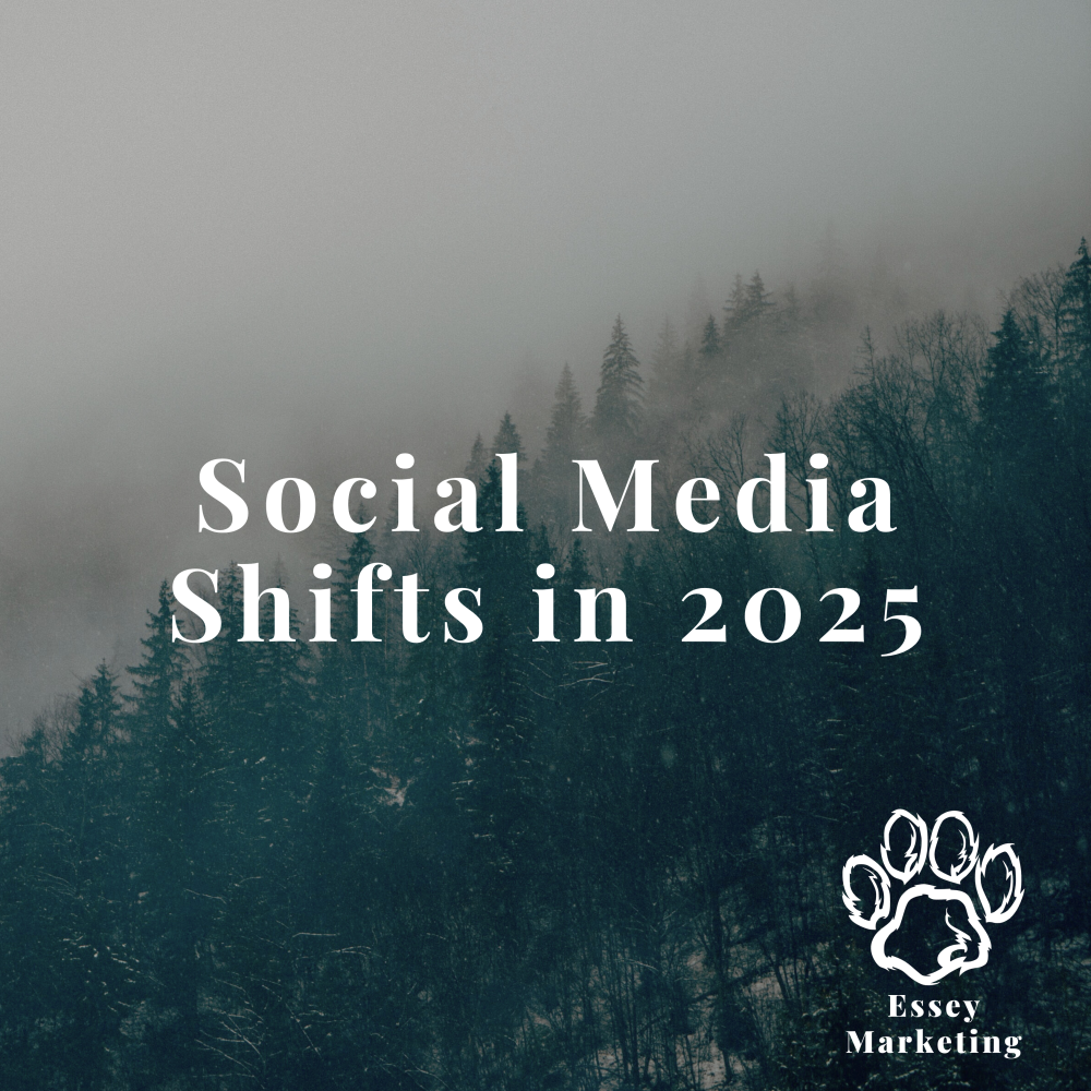 Social Media Shifts in 2025. As we approach 2025, social media… | by ...