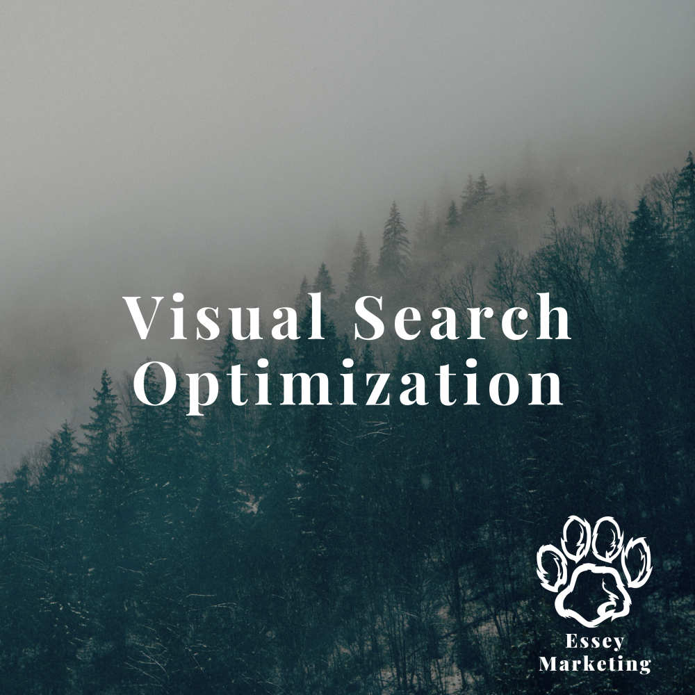 Visual Search Optimization. You’re walking through your favorite… | by ...