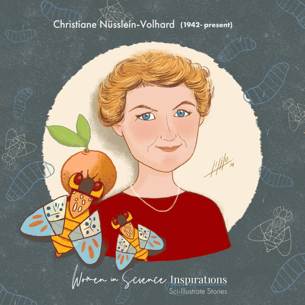 Christiane Nüsslein-Volhard. Christiane Nüsslein-Volhard discovered ...