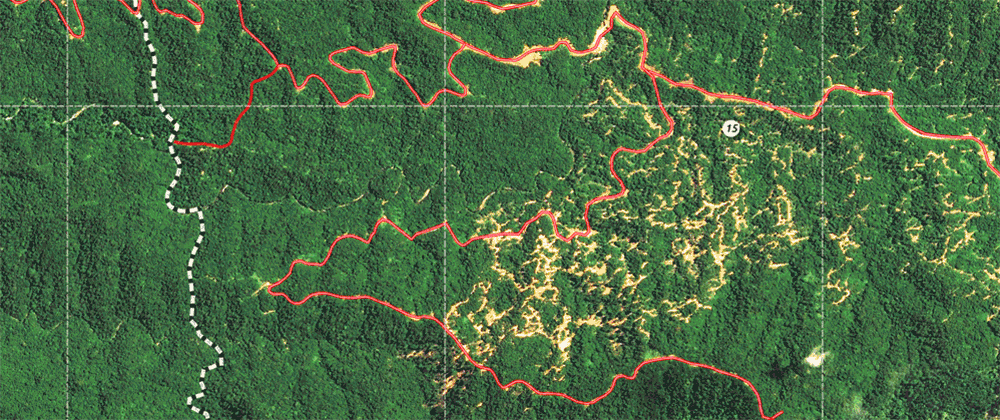 Remote Sensing for Forest Landscapes. | by Alexander Watson | explorer ...