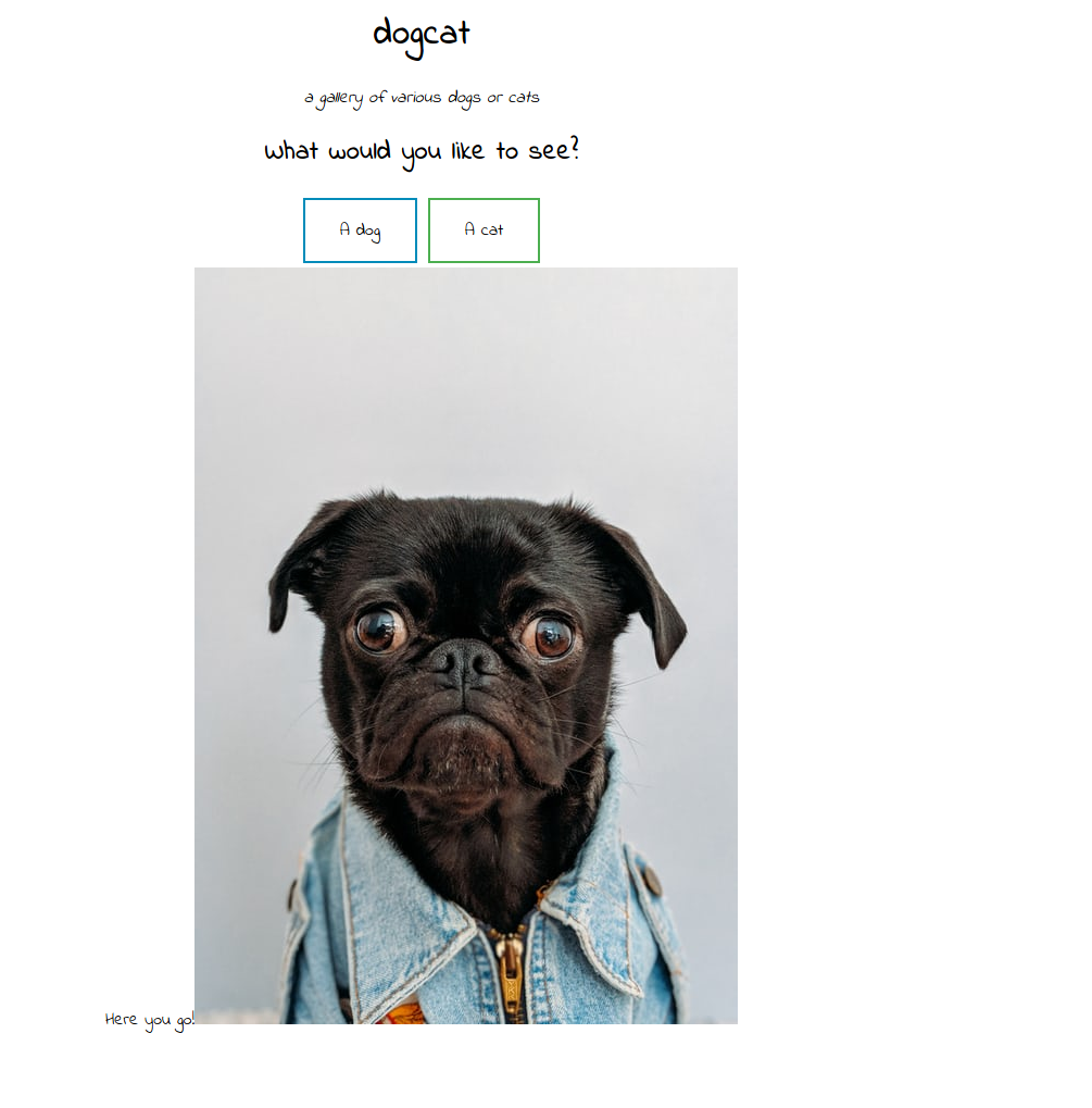 DogCat — TryHackMe, WriteUp. Welcome to the write-up of Dogcat room… | by Gideon Mpungu | Medium
