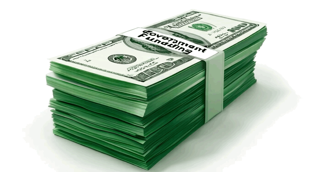 Startups Government Funding: A Shortcut to Nowhere | by Pablo Navarrete | Oct, 2024 | Medium