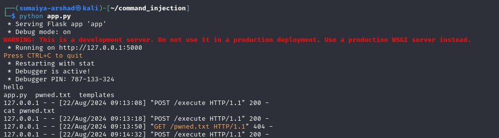 Exploiting Command Injection Attack | by The pickachu | Aug, 2024 | Medium