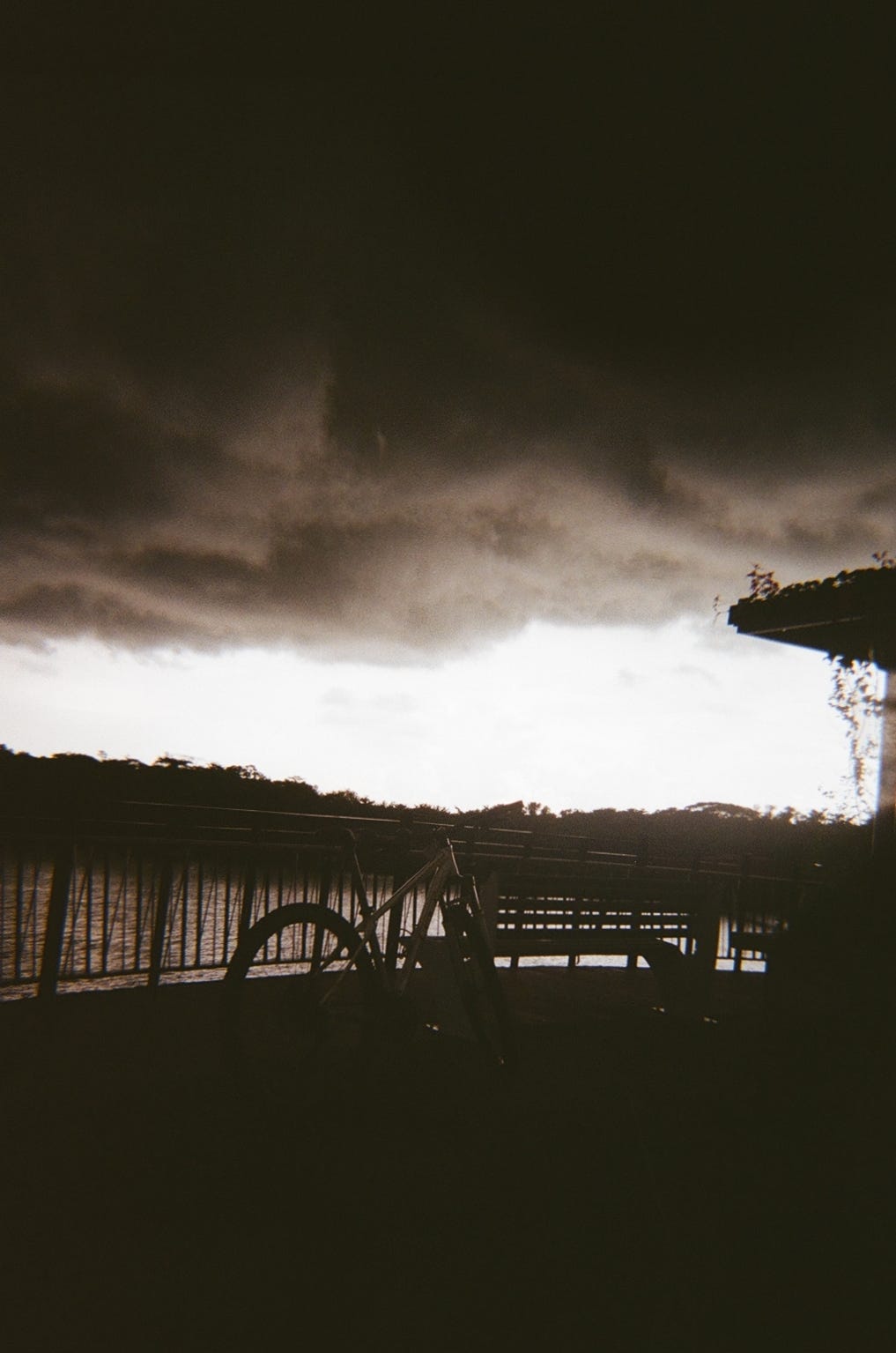 Living In A City As A Nature Lover Can Suck. Here’s How I Cope In This Concrete Jungle. | by ...