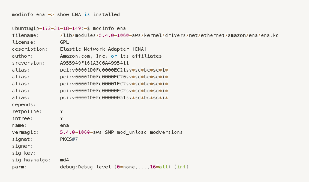 Enhanced Networking — 2 — Verifying ENA | by Rakesh M | Towards AWS