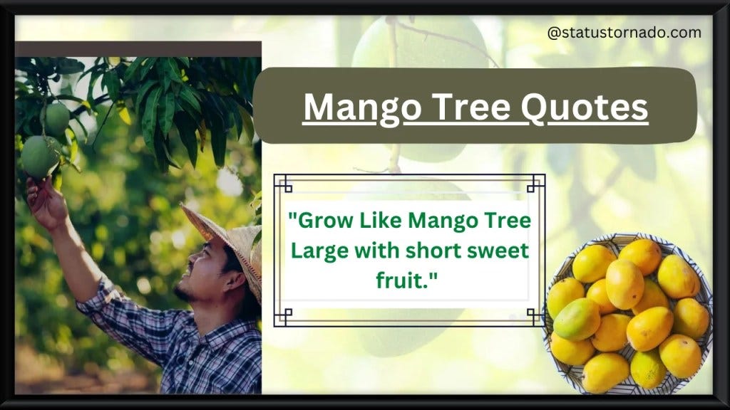 45+ Best Mango Tree Quotes, Captions & Status For FREE | by Tanish ...