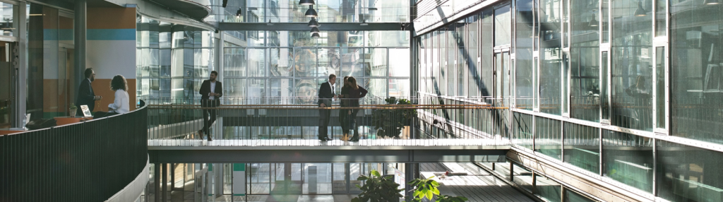 Growing Your Web Design Business in South Africa | by New Perspective Studio (PTY) Ltd | Aug ...