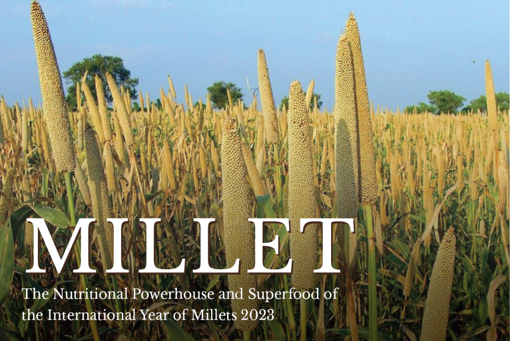 Millet: The Nutritional Powerhouse and Superfood of the International ...