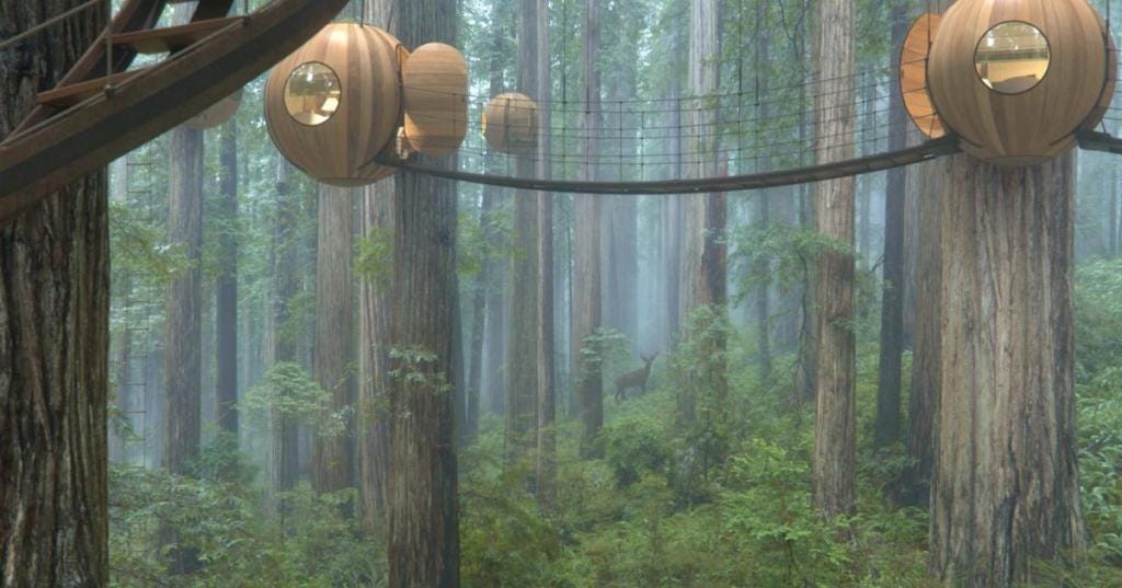 A vision of a living planet. Imagining transformations towards… | by Chris Riedy | Medium