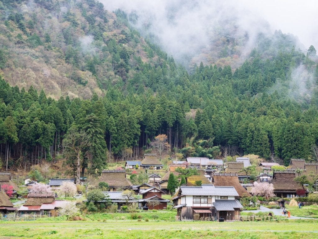 Being an entrepreneur in rural Japan | by Yllah @Freewill.Inc ...