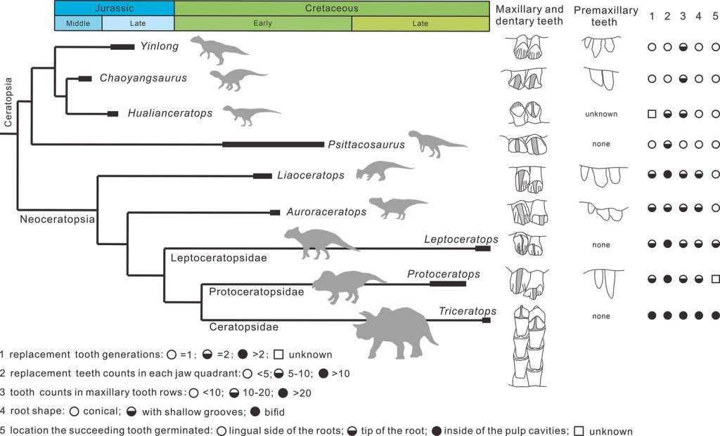 GI Science, GI Training, and Process | by Johnfpohl | Apr, 2025 | Medium