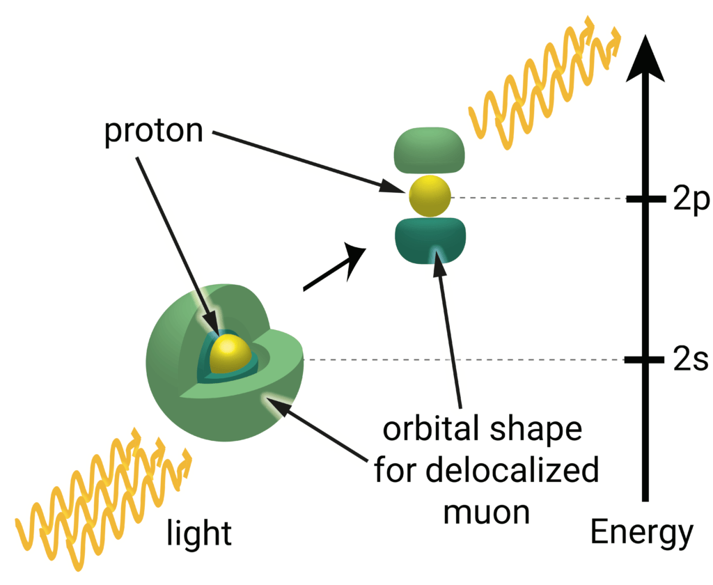 How lasers size up the shrinking proton | by Eric Copenhaver | Medium