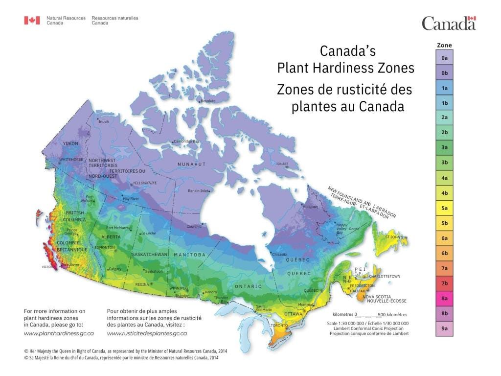 Understanding Plant Hardiness Zones | by Tralee Gardens | Medium